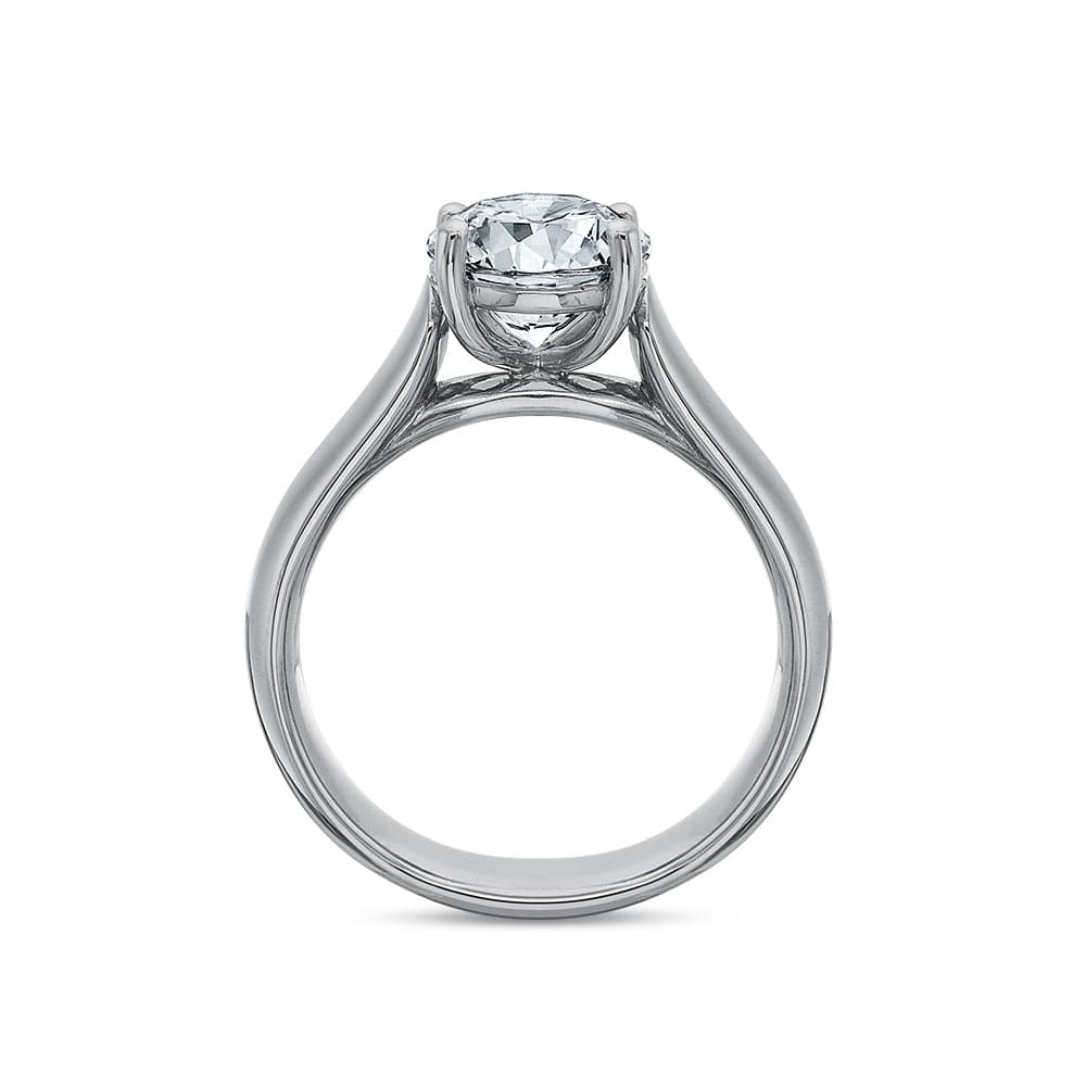 Platinum Solitaire Cathedral Mounted Engagement Ring Setting – Long's ...
